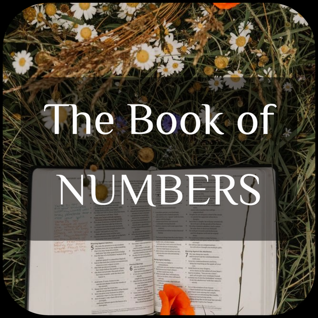 Numbers 6:24-26 - God's Word Never Fails